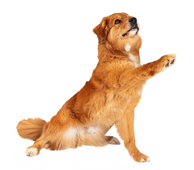 Integration Partners | Provet Cloud